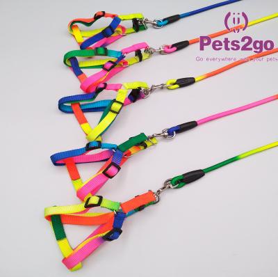 Cina Anti collare di addestramento di cura del cane della corteccia 8pounds 0.6X120CM in vendita