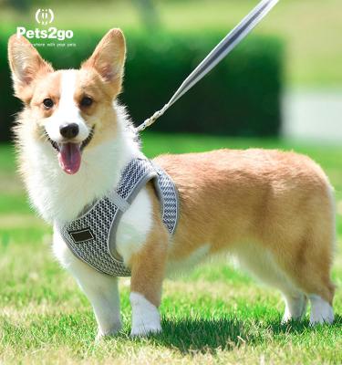 Cina Guinzaglio estensibile del cane dell'ABS di m. all'aperto 85G per fare un'escursione in vendita