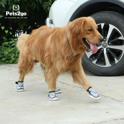 China Breathable Mesh 23.5x7.2cm 500g Dog Running Shoes for sale