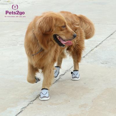 China Breathable Mesh 23.5x7.2cm 500g Dog Running Shoes for sale