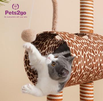 Cina 0.9kg di lusso 42*16CM Cat Indoor Climbing Frame in vendita