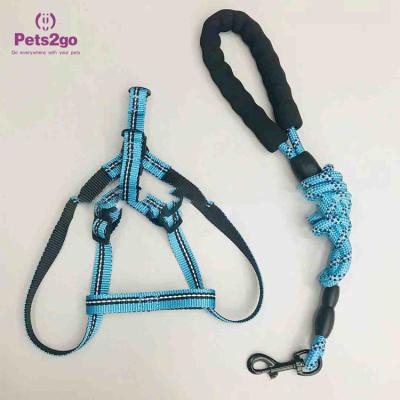 Cina Fune traente di nylon ritrattabile dell'animale domestico di dimensione di XL del cane in vendita