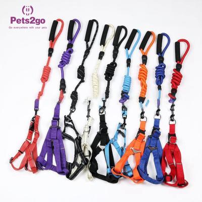 中国 Sのサイズのナイロンは500cm*1cm犬の鎖ロープに貯蔵した 販売のため