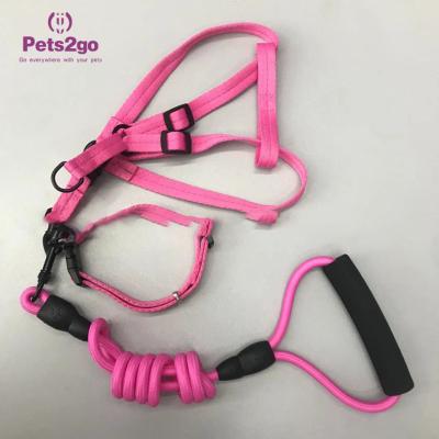 中国 Sのサイズのナイロンは500cm*1cm犬の鎖ロープに貯蔵した 販売のため