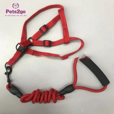 中国 Sのサイズのナイロンは500cm*1cm犬の鎖ロープに貯蔵した 販売のため