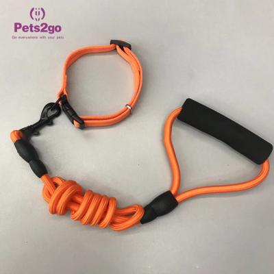 中国 Sのサイズのナイロンは500cm*1cm犬の鎖ロープに貯蔵した 販売のため