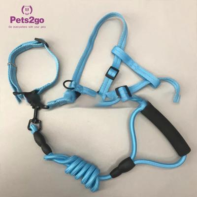 中国 Sのサイズのナイロンは500cm*1cm犬の鎖ロープに貯蔵した 販売のため