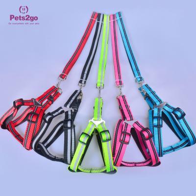 中国 ナイロン ロープOdm XL犬の歩く訓練の鎖 販売のため