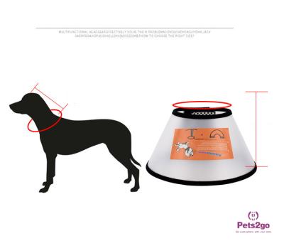 Cina Collare regolabile di recupero dell'animale domestico 4XL 1kg per i gatti adulti ed i piccoli cani in vendita