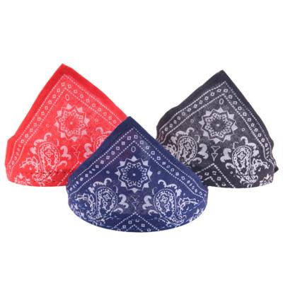 Cina Progettazione Cat Scarf del Odm dell'ABS 100g del triangolo del collare in vendita