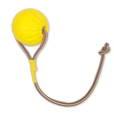 Cina Animale domestico leggero elastico solido di galleggiamento che forma Eva Chew Toy Ball 7x7cm con la corda in vendita