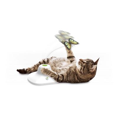 Cina Giocattoli di masticazione dell'ANIMALE DOMESTICO di promozione 80*30*25cm per Cat Teaser in vendita