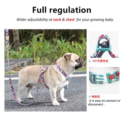 中国 小-中型1kg犬の牽引ロープ/ペット箱の革紐 販売のため
