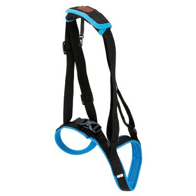 China Nylon Pet Leg Support Belt Rear Leg Disability Injury High Aged Dog Stair Auxiliary for sale