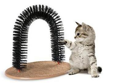 Cina Setola Ring Pet Cleaning Brush Self dell'arco che governa per lo spargimento di controllo in vendita