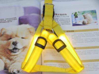 Cina USB che fa pagare rosso verde blu di nylon della cinghia pettorale luminosa dell'animale domestico del LED in vendita