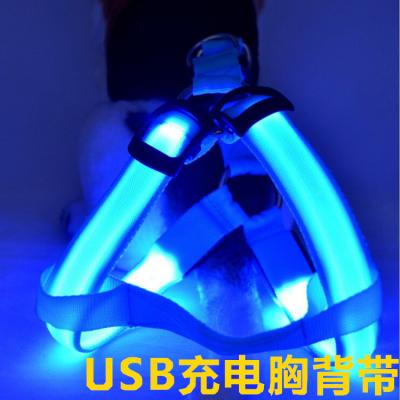 Cina USB che fa pagare rosso verde blu di nylon della cinghia pettorale luminosa dell'animale domestico del LED in vendita