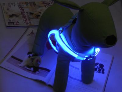 Cina USB che fa pagare rosso verde blu di nylon della cinghia pettorale luminosa dell'animale domestico del LED in vendita