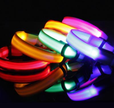 China Abs Usb Led Dog Collar Lead Collar For Dogs with Water Resistant Flashing Light for sale