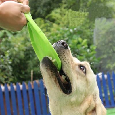 Cina Giocattoli di masticazione dell'ebanite per i cani Eco interattivo dell'interno amichevole in vendita