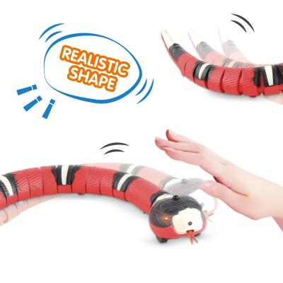 China Indestructible Dog Puzzle Toys Interactive For Large Dogs for sale