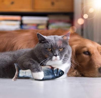 Cina Pesce Flopping interattivo di Cat Toy With Catnip Bag Flapping del pesce per i gatti in vendita