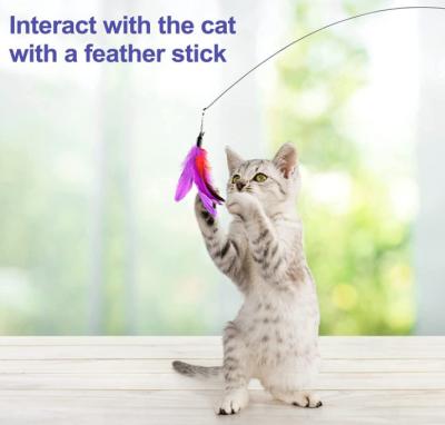 China Vaquinha de Cat Toy Interactive With Bell For da varinha do enigma da pena à venda