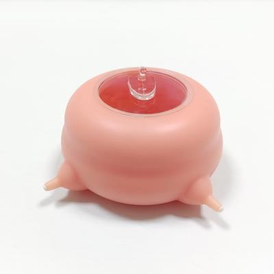 China Anti Choking Silicone Pet Milk Suction Automatic Feeding Bottle 200ml for sale