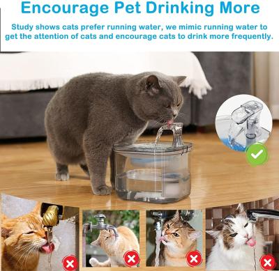 Cina Fontana automatica dell'animale domestico di acciaio inossidabile dell'erogatore dell'acqua del cane in vendita