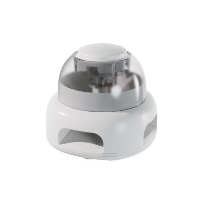 China Slow Pet Automatic Feeder Dog Press Leaky Food Device for sale