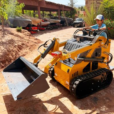 China High Quality Crawler Skid Steer Loader Gasoline Mini Skid Steer Loader with Quick Hitch for sale
