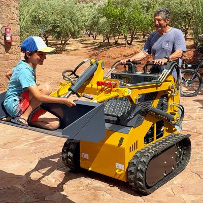 China Mini Skid Steer Track Loader Walk Behind Crawler EPA Skid Steer Loader Attachments for Sale for sale