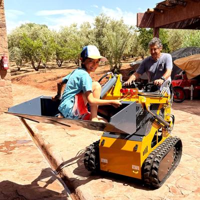 China Cheap Crawler Skid Steer Loaders Mini Small Skid Steer Track Loader With Attachments for sale