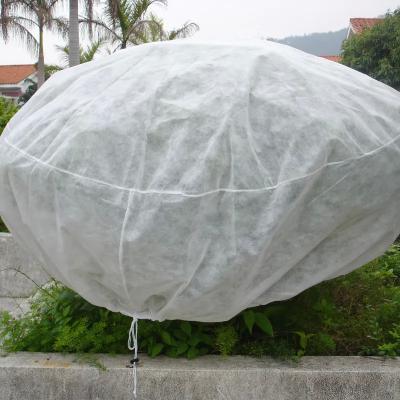 China Nontoxic Crop Protection Cover Durable , Biodegradable Garden Fleece For Plants for sale