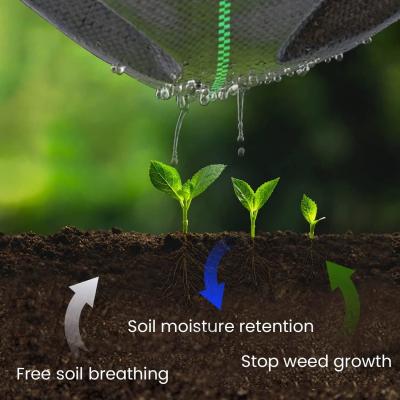 China 100gsm PP Weed Control Fabric Barrier Membrane UV Resistant Durable for sale
