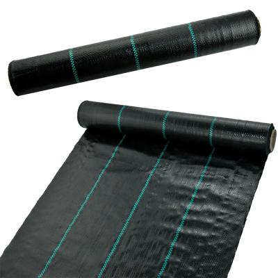 China PP 4x20m Weed Control Fabric Barrier Multi Function Breathable Eco Friendly for sale