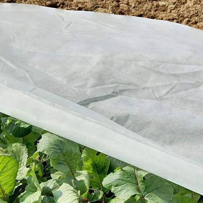 China Mothproof Frost Protection Fleece Breathable Polypropylene Material for sale