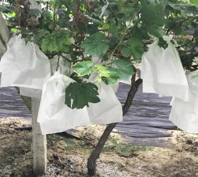 China Multiscene Fleece Plant Bags Breathable Tear Resistant For Wrapping Fruit for sale