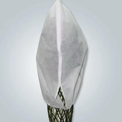 China Multiscene Fleece Plant Bags Breathable Tear Resistant For Wrapping Fruit for sale
