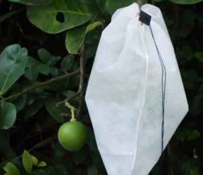 China Multiscene Fleece Plant Bags Breathable Tear Resistant For Wrapping Fruit for sale