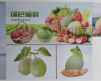 Cina Macchine per la stampa ad alta definizione a striscia rotativa in vendita
