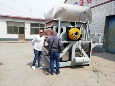 Cina Macchina per vassoi di uova all'avanguardia per soluzioni di imballaggio sostenibili in vendita