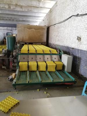 Cina Macchina per vassoi di uova all'avanguardia per soluzioni di imballaggio sostenibili in vendita