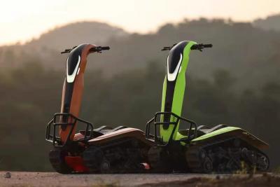 China PLAYGROUNDS GAME ZONE ELECTRIC DTV TRACKED SCOOTER TANK ETV SNOWMOBILE ATV for sale
