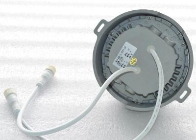中国 正面の装飾の防水小さい導かれた天井灯24V RGBW 販売のため