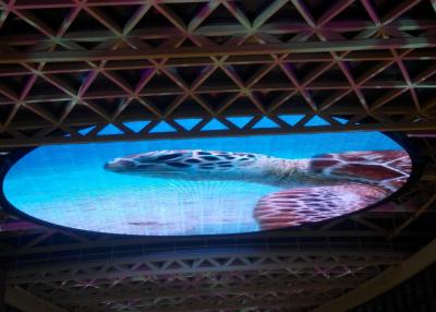 Cina Schermo trasparente RGB di pubblicità LED con il Governo di alluminio in vendita