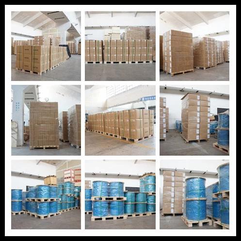 Standard packaging for cable seal locks