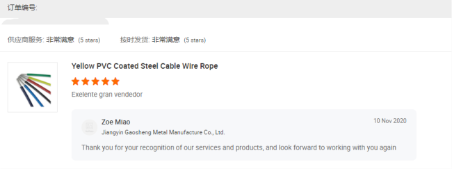 Customer testimonial 6