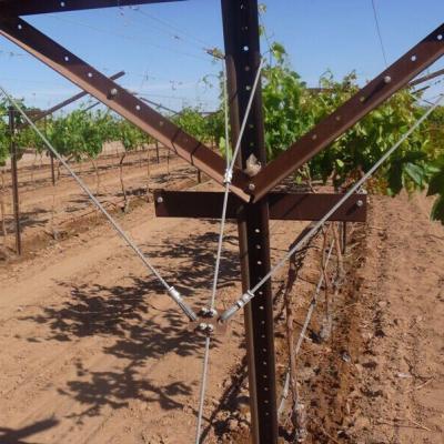 China 6.35mm Wire Rope Sling Assembly For Grape Trellis With Accessories for sale