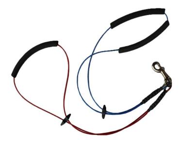 China Adjustable Dog Grooming Table Harness with Durable Nylon and Secure Attachment Points for Safe Grooming for sale